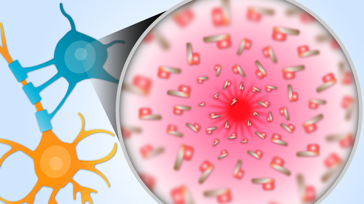 De intracellulaire mechanismen onthuld die aan de basis liggen van ALS ...